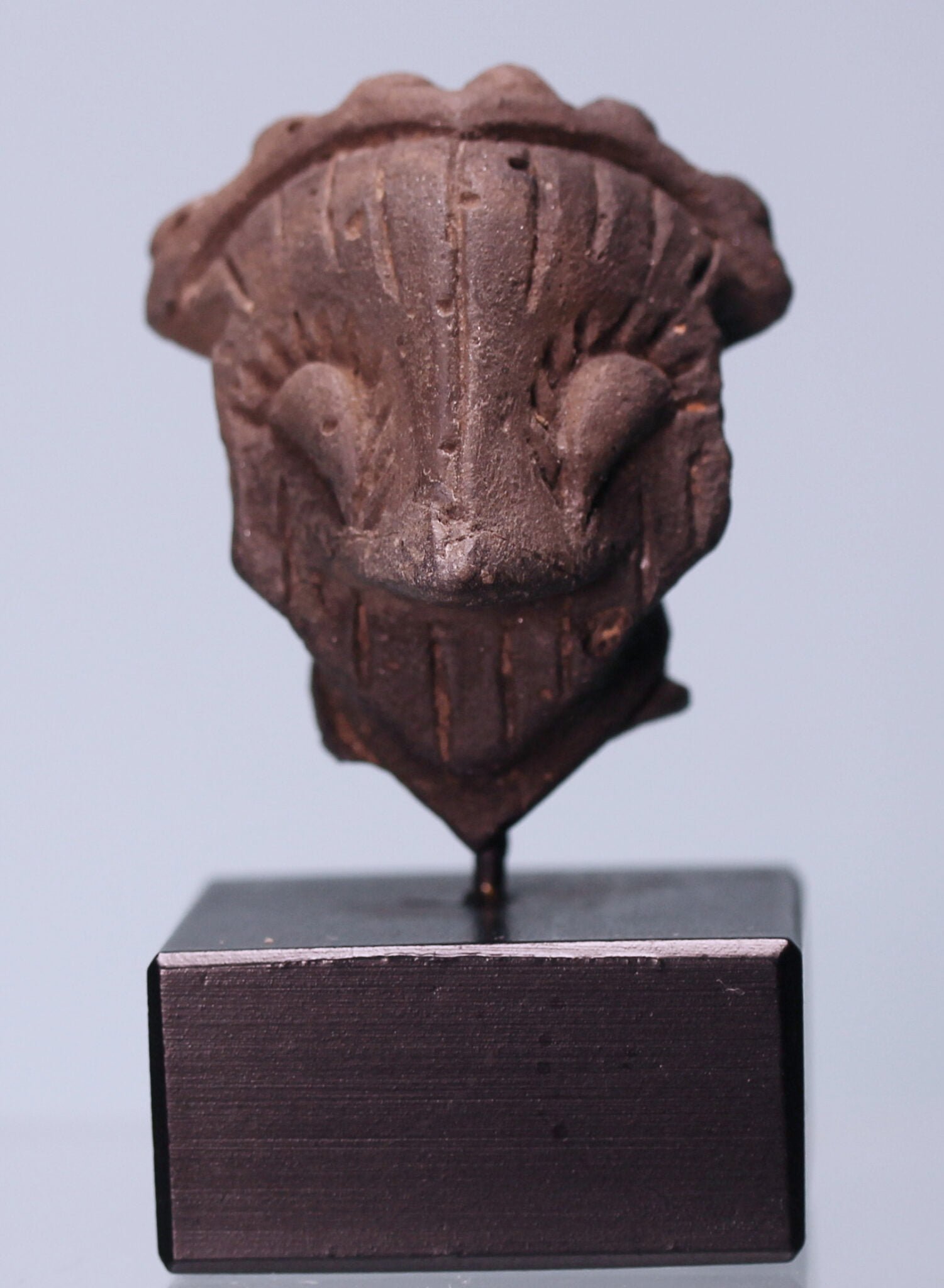 Neolithic Vinca Terracotta Head - Hixenbaugh Ancient Art